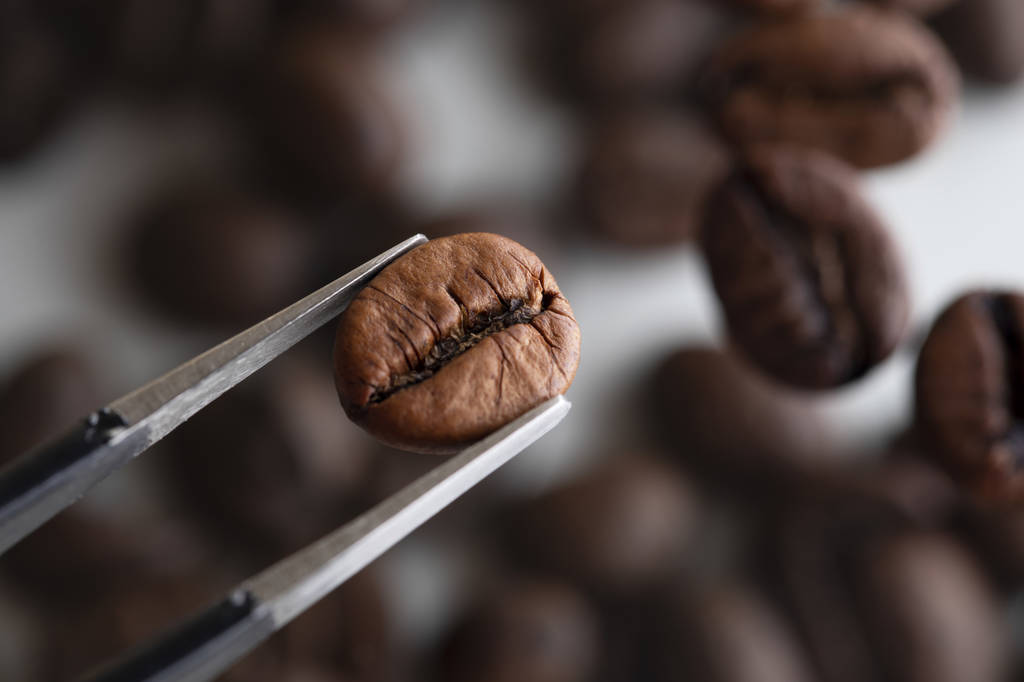Schönwald Porzellan: Coffee Tasting - bhs-tabletop.de